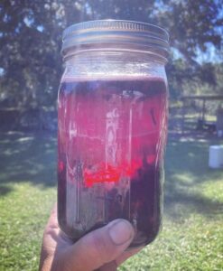 How To Make Roselle Tea: Hot, Iced, and Spiced