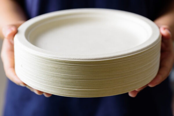 Can You Compost Paper Plates? The Eco-friendly Truth