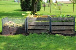 Can You Compost Paper Plates? The Eco-friendly Truth