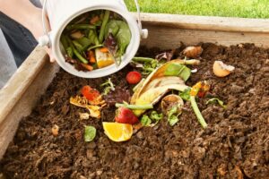 Can You Compost Paper Plates? The Eco-friendly Truth