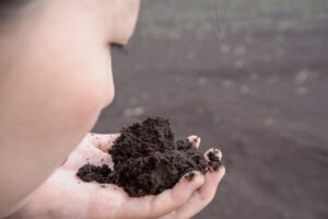 Do Compost Bins Smell? Stop Your Stinky Compost Problem Now