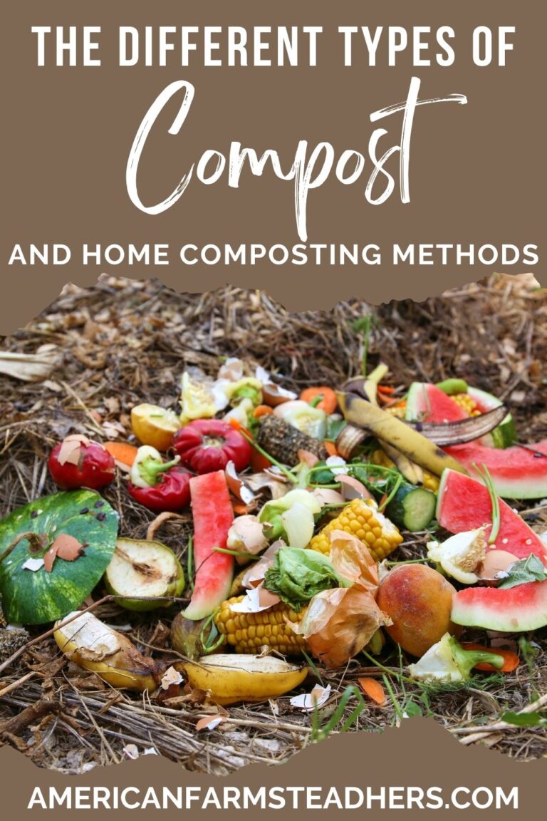 The Different Types of Compost: How to Make Compost