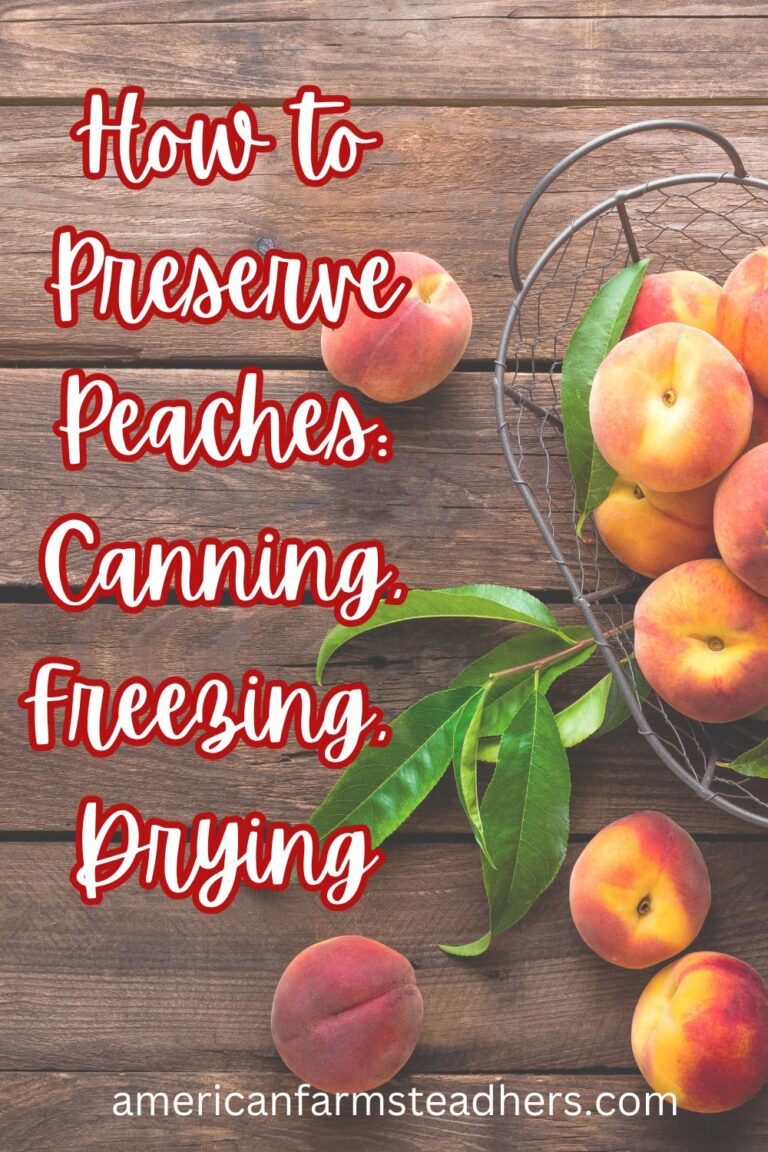How to Preserve Peaches: Canning, Freezing, Drying