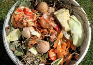 Can You Compost Meat Scraps? The Surprising & Smelly Truth