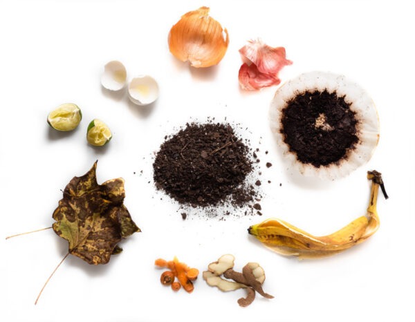 Can You Compost Meat Scraps? The Surprising & Smelly Truth