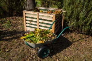Can You Compost Meat Scraps? The Surprising & Smelly Truth
