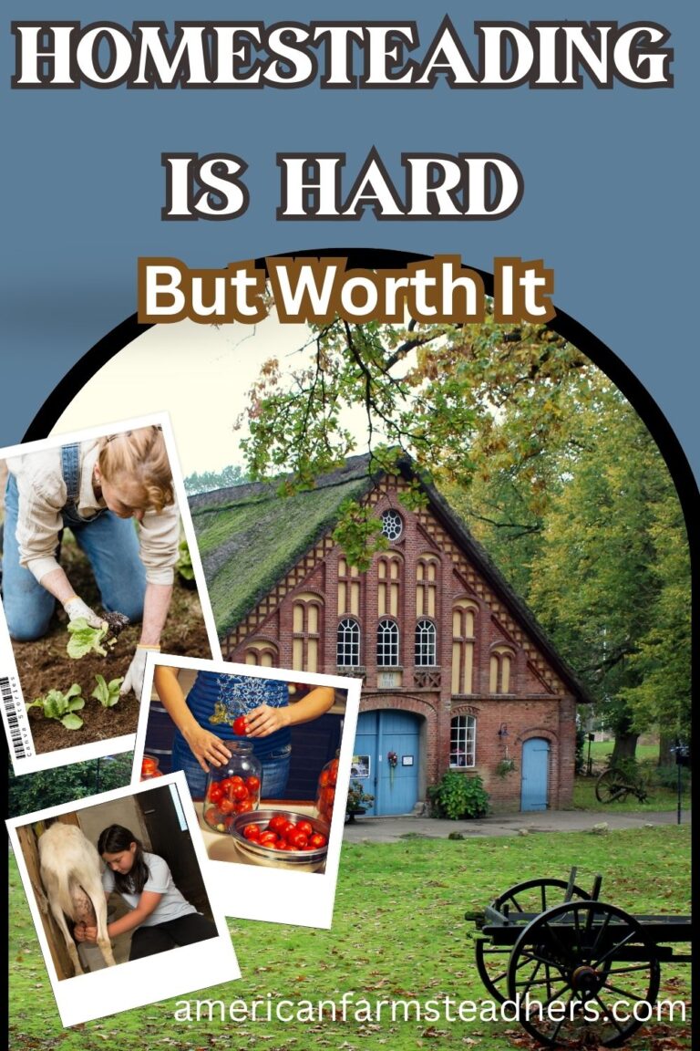 The Simple Truth is Homesteading is Hard But Worth It