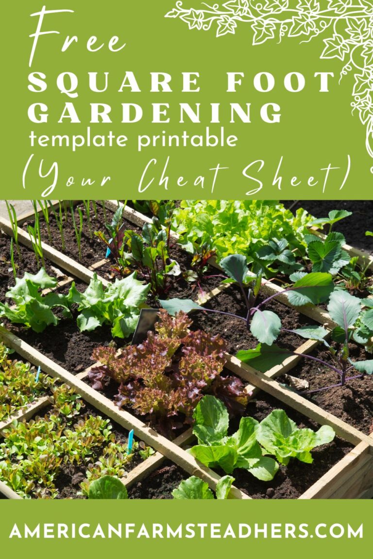 Free Square Foot Gardening Template Printable & Cheat Sheet