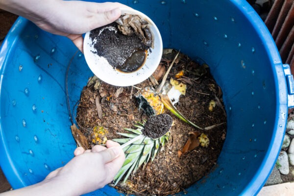 Diy Composting: How to Make a Compost Bucket at Home