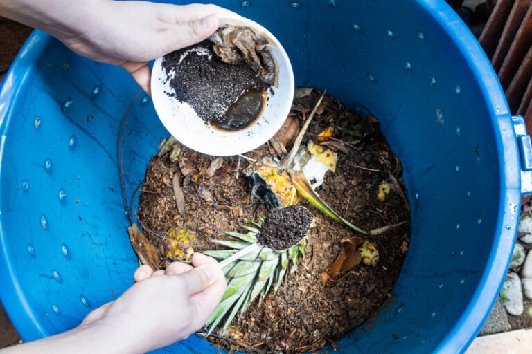 Diy Composting: How to Make a Compost Bucket at Home
