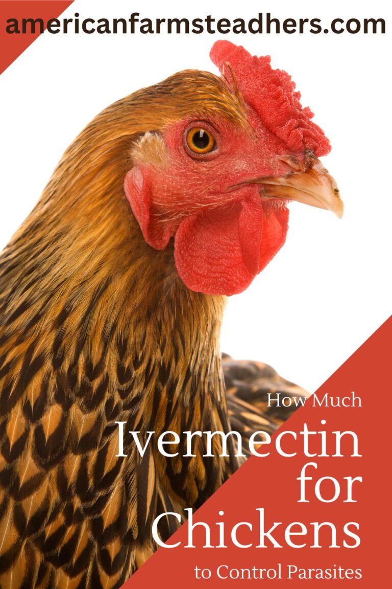 How Much Ivermectin for Chickens to Control Parasites