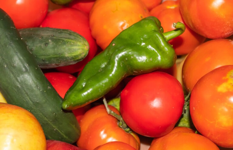 Crop Rotation Chart: Vegetable Garden Planning Made Easy