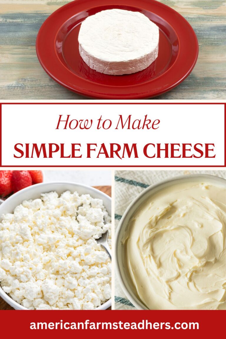 How to Make a Homemade Simple Farm Cheese Recipe