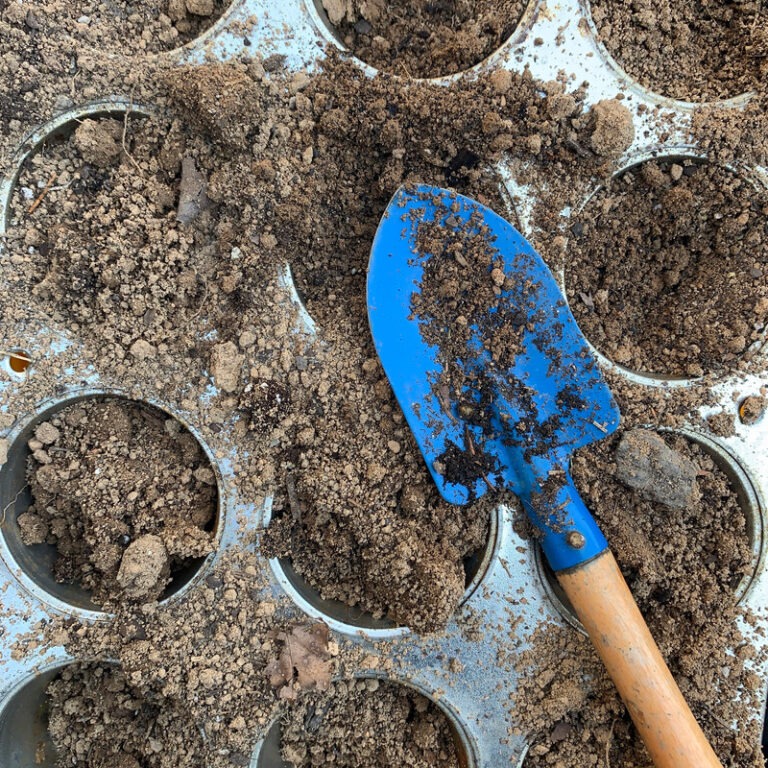 25 DIY Seed Starting Pots: Make Your Own Upcycled Pots