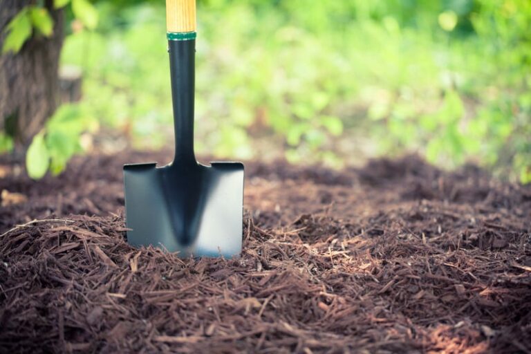 Triple Shredded Mulch Vs Regular Mulch: Best Garden Mulch