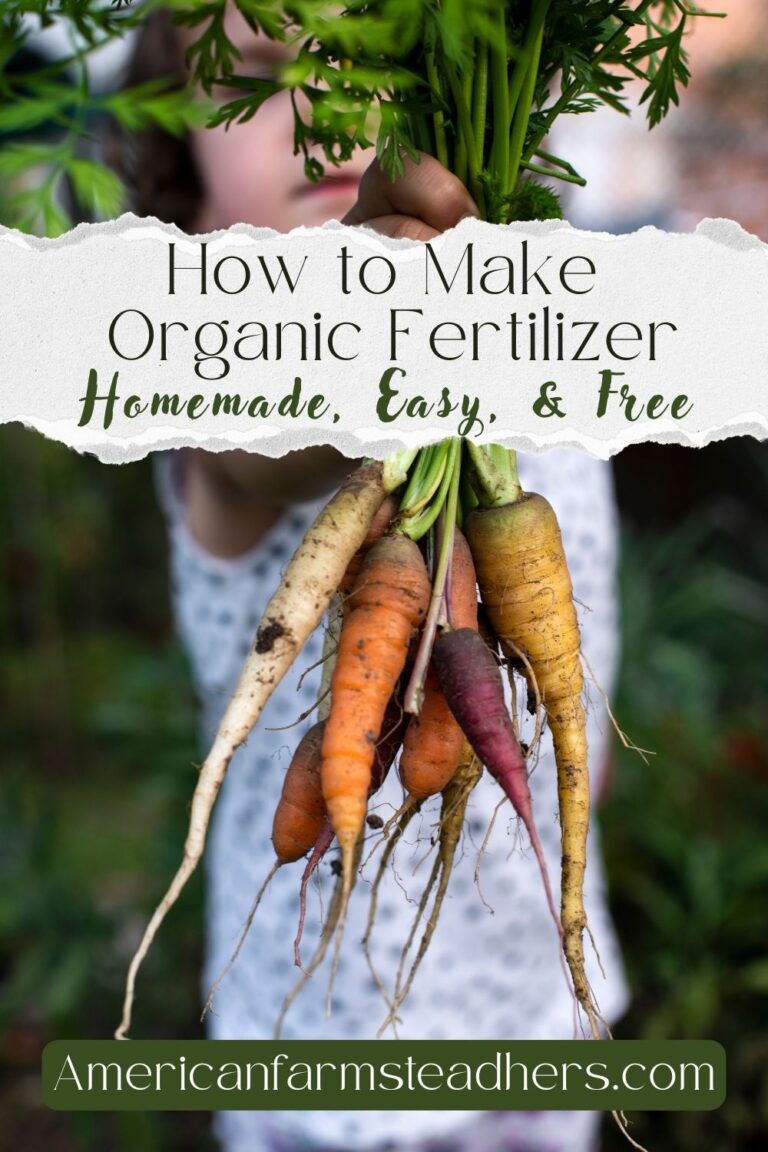 How to Make Organic Fertilizer: Homemade, Easy, & Free
